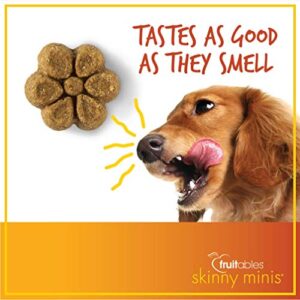 Fruitables Skinny Mini Dog Treats – Healthy Treats for Dogs – Low Calorie Training Treats – Free of Wheat, Corn and Soy – Pumpkin and Mango – 5 Ounces