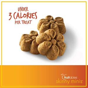 Fruitables Skinny Mini Dog Treats – Healthy Treats for Dogs – Low Calorie Training Treats – Free of Wheat, Corn and Soy – Pumpkin and Mango – 5 Ounces