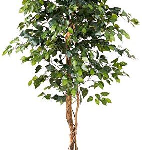 Nearly Natural 6ft. Ficus Artificial Trees, 72in, Green