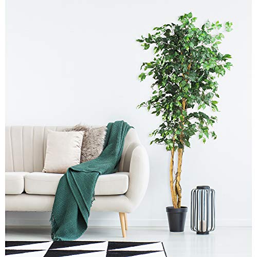 Nearly Natural 6ft. Ficus Artificial Trees, 72in, Green