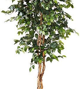 Nearly Natural 6ft. Ficus Artificial Trees, 72in, Green