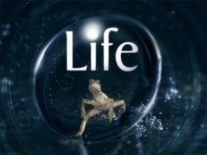 life season 1