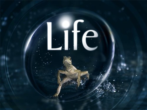 Life Season 1