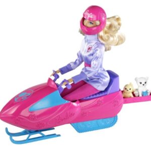 Barbie I Can Be Arctic Rescuer Playset