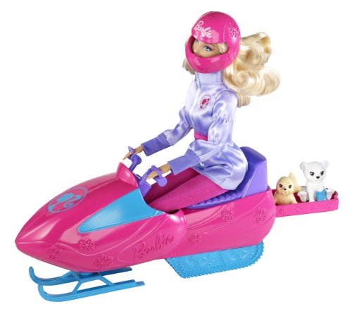 Barbie I Can Be Arctic Rescuer Playset