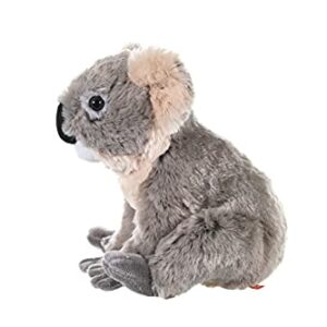 Wild Republic Koala Plush, Stuffed Animal, Plush Toy, Gifts for Kids, Cuddlekins 12"