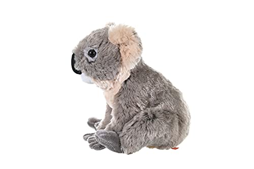 Wild Republic Koala Plush, Stuffed Animal, Plush Toy, Gifts for Kids, Cuddlekins 12"