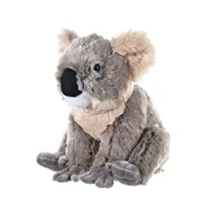 Wild Republic Koala Plush, Stuffed Animal, Plush Toy, Gifts for Kids, Cuddlekins 12"