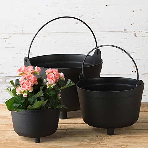 Novelty MFG 48128 Antique Kettle Planter, 12-Inch, Black