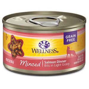 wellness complete health natural grain free wet canned cat food, minced salmon entree, 3-ounce can (pack of 24)