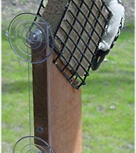 Songbird Essentials Suet Window Feeder