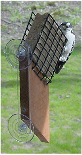 Songbird Essentials Suet Window Feeder