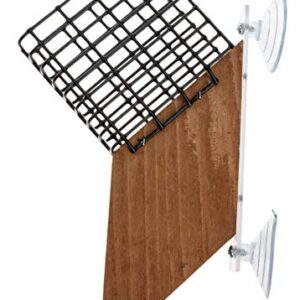 Songbird Essentials Suet Window Feeder