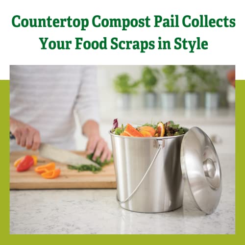 Gardener's Supply Company Brushed Stainless Steel Kitchen Compost Pail | Holds 1 Gallon of Food Scraps for Organic Indoor Composting | 7-1/4" D x 7" H