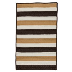 portico braided area rug, 4x6, espresso