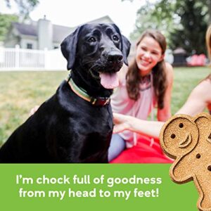 Buddy Biscuits Grain Free Soft & Chewy Dog Treats, Small Dog or Large Dogs Training, Healthy Roasted Chicken 5 oz.