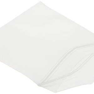 Beadaholique 100 Self Sealing, Zipline Brand Bags, Clear 2 mil. Thick Plastic - 2'' X 2'' (50mm x 50mm)