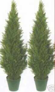 two 4 foot artificial topiary cedar trees potted indoor outdoor plants