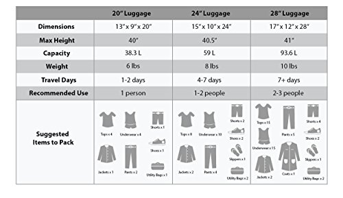 Rockland Melbourne Hardside Expandable Spinner Wheel Luggage, Champagne, 3-Piece Set (20/24/28)