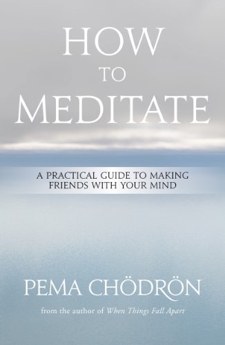 How to Meditate: A Practical Guide to Making Friends with Your Mind