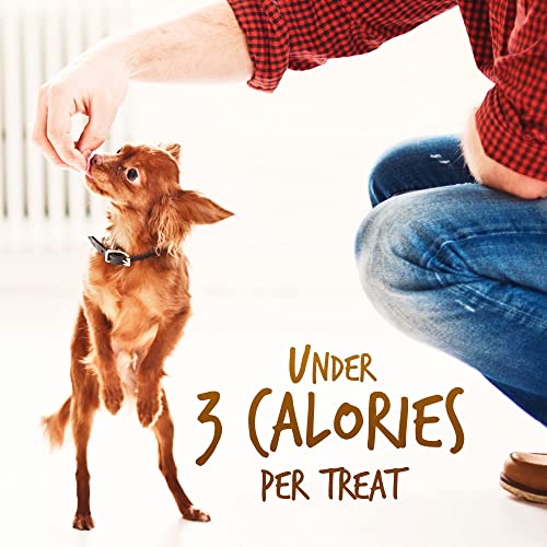 Fruitables Skinny Mini Dog Treats – Healthy Treats for Dogs – Low Calorie Training Treats – Free of Wheat, Corn and Soy – Rotisserie Chicken – 5 Ounces