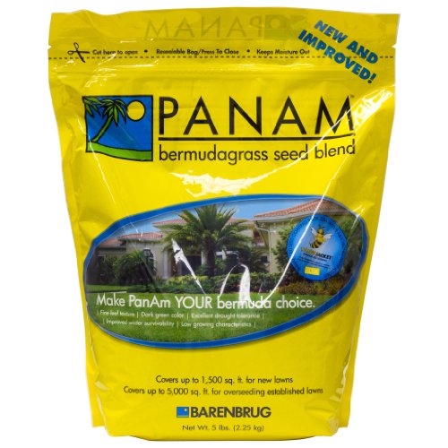 Panama (PanAm) Bermuda Grass Seed Blend Barenbrug USA Warm Season Grass Seed