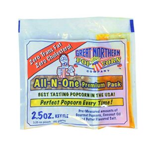 4065 Great Northern Popcorn Case ,Popcorn Portion Packs, 2.5 Ounce (Pack of 12)