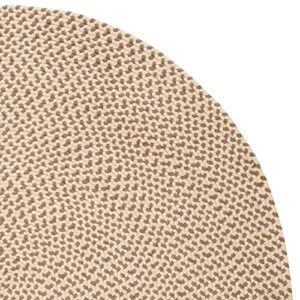 SAFAVIEH Braided Collection 4' x 6' Oval Beige/Brown BRD173A Handmade Country Cottage Reversible Cotton Area Rug