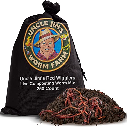 Uncle Jim's Worm Farm Red Wiggler Live Composting Worms Mix for Garden Soil or Fishing | Pack of Compost Improves Structure and Quality Healthier Gardens 250 Count