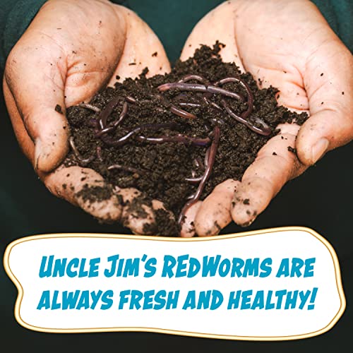 Uncle Jim's Worm Farm Red Wiggler Live Composting Worms Mix for Garden Soil or Fishing | Pack of Compost Improves Structure and Quality Healthier Gardens 250 Count