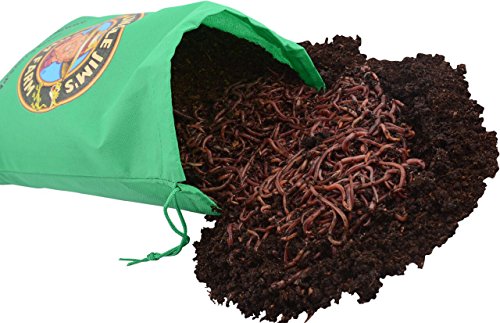 Uncle Jim's Worm Farm Red Wiggler Live Composting Worms Mix for Garden Soil or Fishing | Pack of Compost Worms Improves Soil Structure and Quality for Healthier Gardens | 500 Count