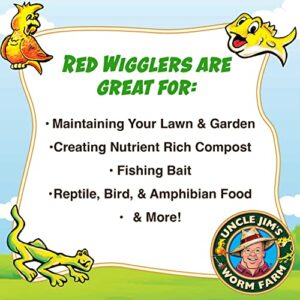 Uncle Jim's Worm Farm Red Wiggler Live Composting Worms Mix for Garden Soil or Fishing | Pack of Compost Worms Improves Soil Structure and Quality for Healthier Gardens | 500 Count