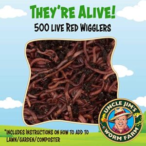 Uncle Jim's Worm Farm Red Wiggler Live Composting Worms Mix for Garden Soil or Fishing | Pack of Compost Worms Improves Soil Structure and Quality for Healthier Gardens | 500 Count