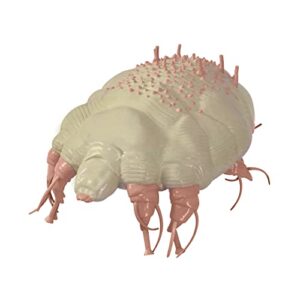 GPI Anatomicals - Canine Skin Parasites Model, Skin Model with Mite, Flea, and Tick for Canine Anatomy and Physiology Education, Anatomy Model for Veterinarian’s Office, Medical Study Supplies