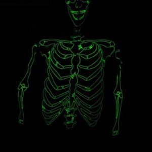 Calhoun Men's Glow in The Dark Skeleton Costume Zip Hoodie (Black, X-Large)