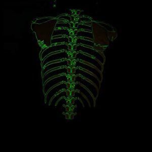 Calhoun Men's Glow in The Dark Skeleton Costume Zip Hoodie (Black, X-Large)