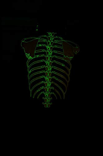 Calhoun Men's Glow in The Dark Skeleton Costume Zip Hoodie (Black, X-Large)