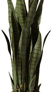 Nearly Natural, Green 4855 35in. Sansevieria with Black Planter