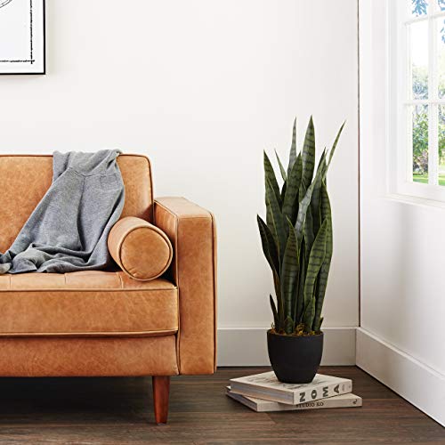 Nearly Natural, Green 4855 35in. Sansevieria with Black Planter