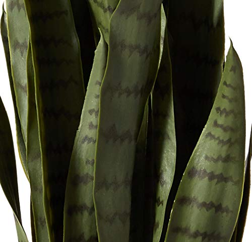 Nearly Natural, Green 4855 35in. Sansevieria with Black Planter