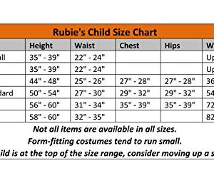 Rubies Barbie Rosebud Princess Costume, Child Toddler