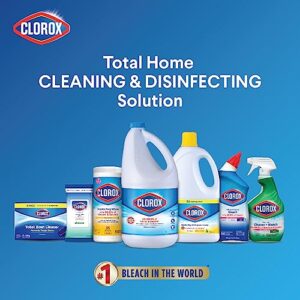 Clorox Tablets with Bleach 3.5 oz, 2 Ct