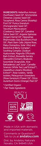 Andalou Naturals 1000 Roses Moroccan Beauty Oil Ounce, White, rose, 1 Fl Oz