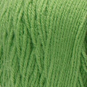 Red Heart Super Saver Yarn, Spring Green