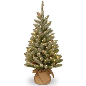 national tree company pre-lit artificial mini christmas tree | includes small white led lights and cloth bag base | snowy concolor fir burlap - 3 ft, brown/green