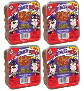 berry treat wild bird suet [set of 4]