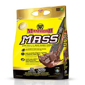 MAMMOTH MASS: Weight Gainer, High Calorie Protein Powder Workout Smoothie Shake, Meal Replacement, Low Sugar, Whey Isolate Concentrate, Casein Protein Blend, Weight Training, High Protein (Chocolate, 5lb)