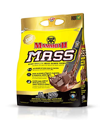 MAMMOTH MASS: Weight Gainer, High Calorie Protein Powder Workout Smoothie Shake, Meal Replacement, Low Sugar, Whey Isolate Concentrate, Casein Protein Blend, Weight Training, High Protein (Chocolate, 5lb)