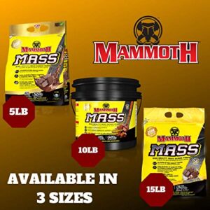 MAMMOTH MASS: Weight Gainer, High Calorie Protein Powder Workout Smoothie Shake, Meal Replacement, Low Sugar, Whey Isolate Concentrate, Casein Protein Blend, Weight Training, High Protein (Chocolate, 5lb)