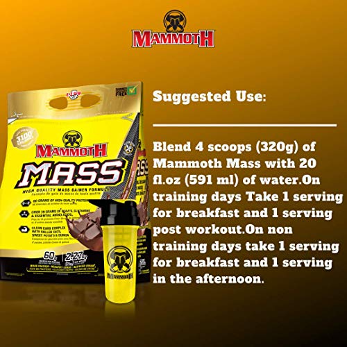 MAMMOTH MASS: Weight Gainer, High Calorie Protein Powder Workout Smoothie Shake, Meal Replacement, Low Sugar, Whey Isolate Concentrate, Casein Protein Blend, Weight Training, High Protein (Chocolate, 5lb)